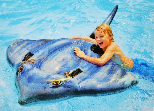Sting Ray Ride On